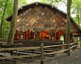 Inside the Shell: An Interview with Shannon and the Clams - NYS Music