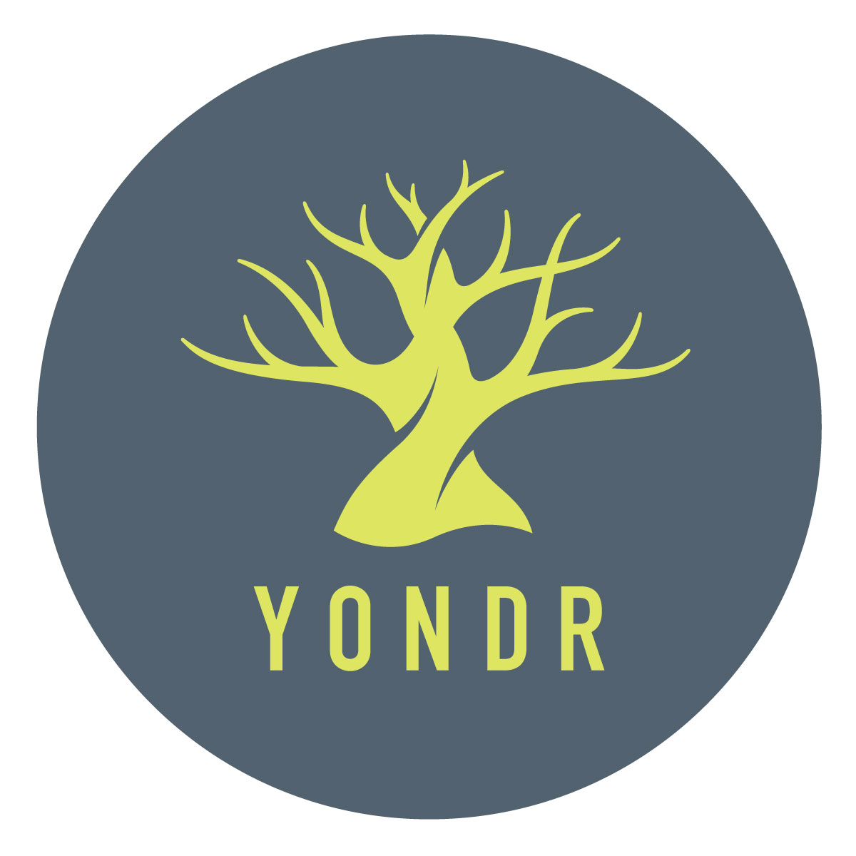 A Phone Free Festival: What's in Store at Over Yondr Festival, June 24-26