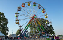 The Infinity Stage Debuts at Bonnaroo 2025 with Stellar Lineups and ...