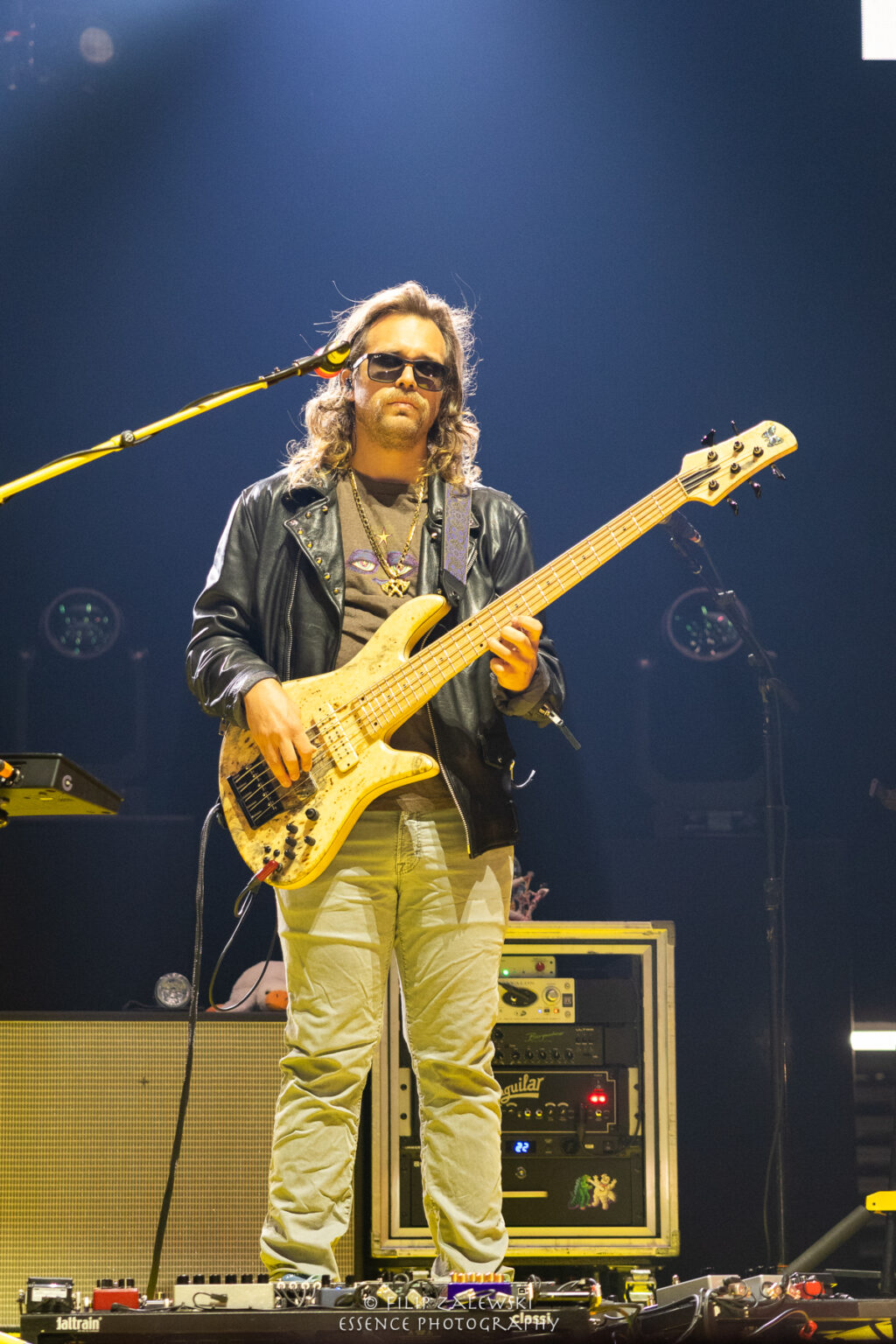 In Focus: Goose at Madison Square Garden