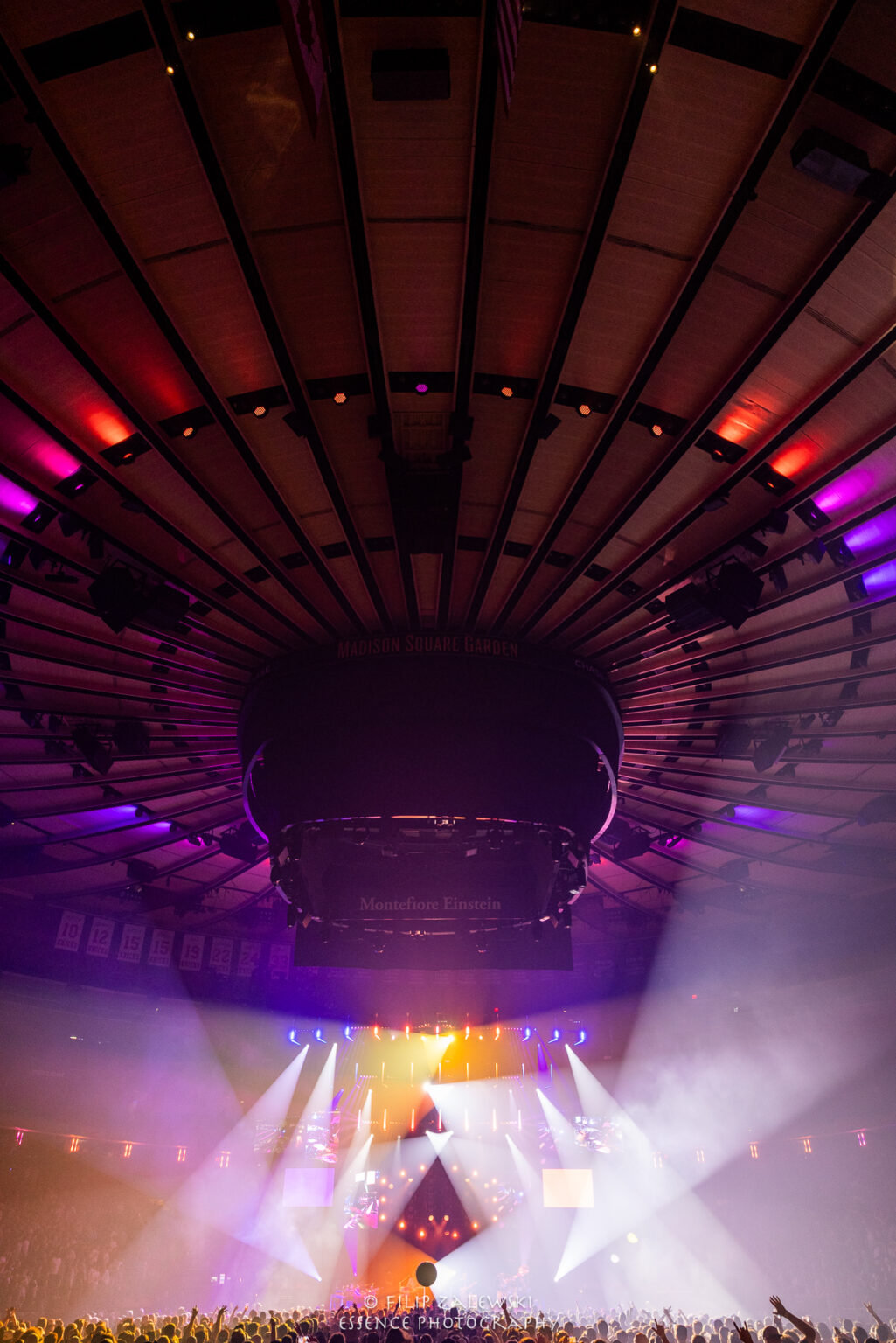 In Focus: Goose at Madison Square Garden